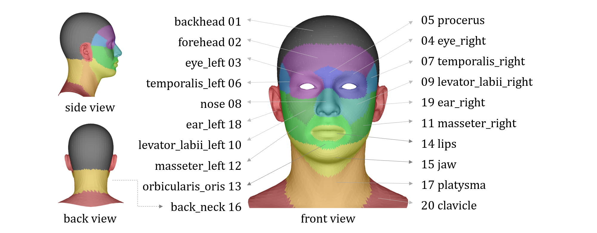 Neural Face Skinning for Mesh-agnostic Facial Expression Cloning